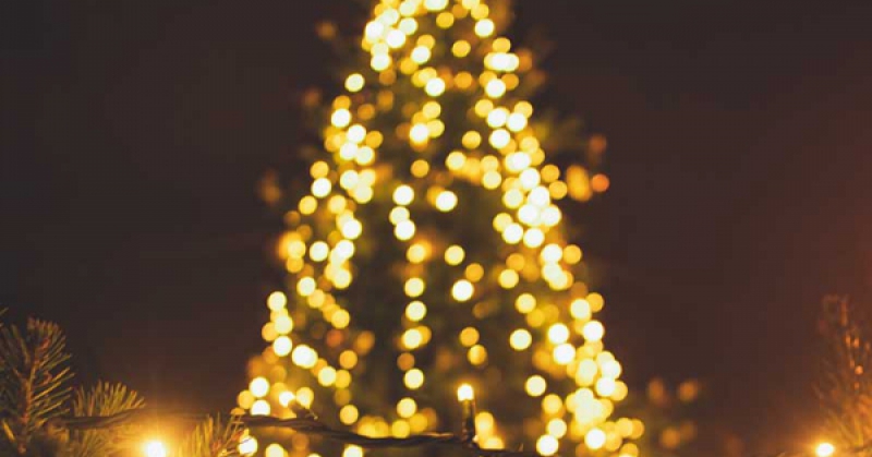 County Tree Lighting Celebration | Calendar | Doddridge County WV ... County Tree Lighting Celebration | Calendar | Doddridge County WV ...